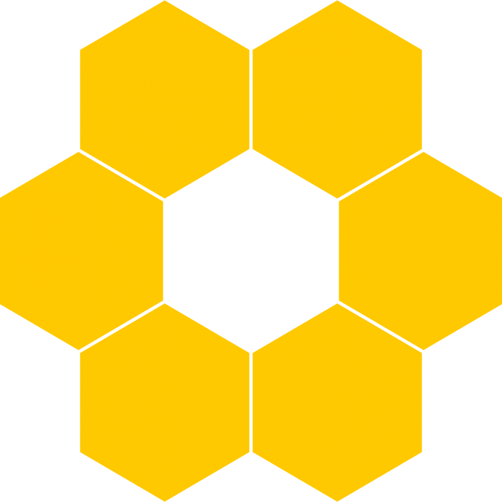Bee STUDIO – From Idea to Reality the right way